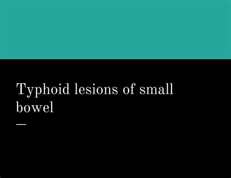 Tb And Typhoid Lesions Of Small Intestine Pptx