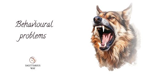 Behavioural Problems Sagittarius Way