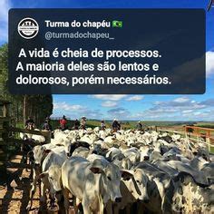 55 ideias de Memes de vaquejada frases sertanejas memes frases de peão