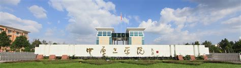 后勤服务中心、智慧能源与环境学院联合 开展“为春天充“植”·为中工添绿”义务植树活动 工会