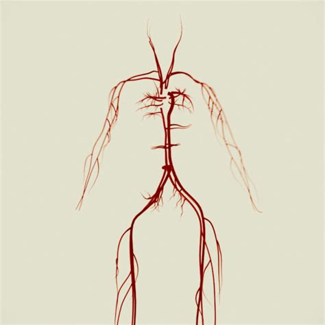 Sepsis Guidelines For Hospitals Can Save Lives Study Suggests