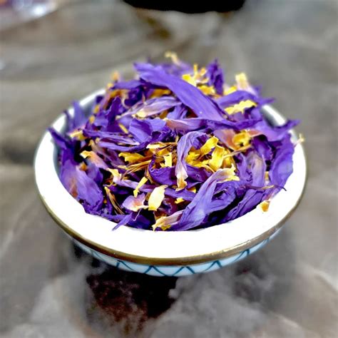 Ancient Egyptian Blue Lotus Flower Organic Origins