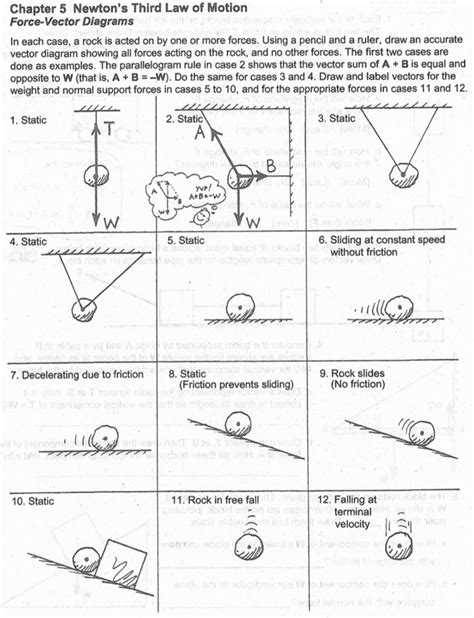 Worksheet Drawing Force Diagrams Force Diagrams Worksheet Myscres