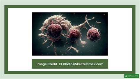 Can Genetically Engineered Bacteria Detect Cancer Cells Sigma Earth