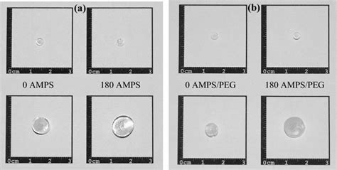 Photographs Of A Aam Amps Hydrogels And B Aam Amps Peg Semi Ipns As