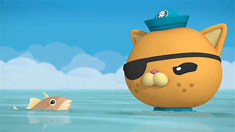 Octonauts The Octonauts And The Trigger Fish Abc Iview My XXX Hot Girl