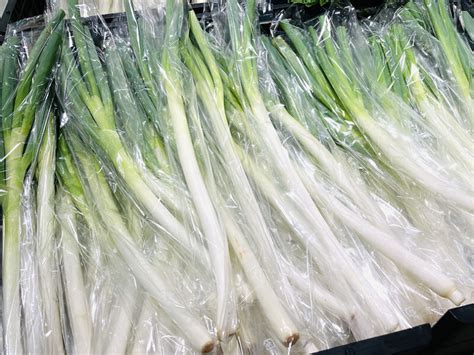 ねぎの旬はいつ？栄養と美味しい食べ方 オリーブノート公式 カラダに美味しい、オイルのノート