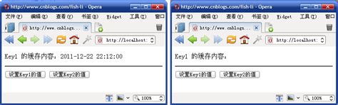 Asp Net Cache Fish Li