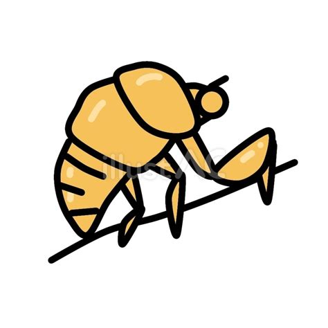 セミの抜け殻イラスト No 24036995｜無料イラスト・フリー素材なら「イラストac」