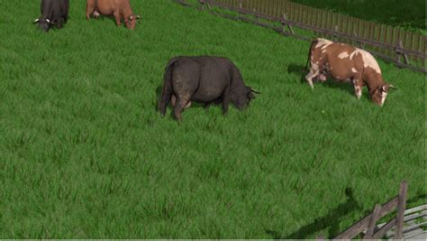 Grass Texture Fs17 Farming Simulator 17 Mod Fs 2017 Mod