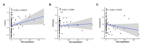 Somatic Mutation Analysis In High And Low Expression Groups Of Dld Download Scientific Diagram
