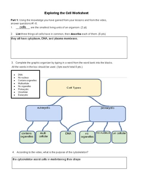 Exploring The Cell Lab Babe Worksheet Exploring The Cell Worksheet Part Using The