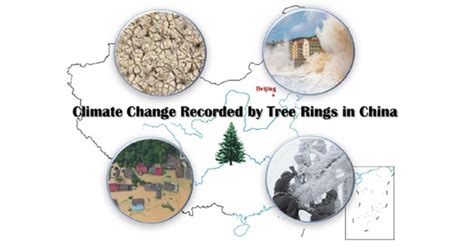 Applied Sciences Special Issue Recent Advances In The Tree Ring
