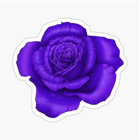 Purple Rose Sticker By Sora Almasy Redbubble