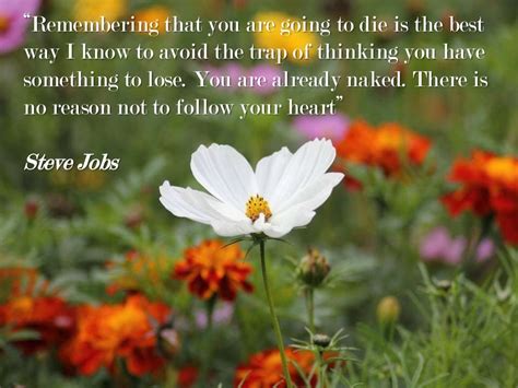 50 Of The Most Inspirational Quotes Of All Time