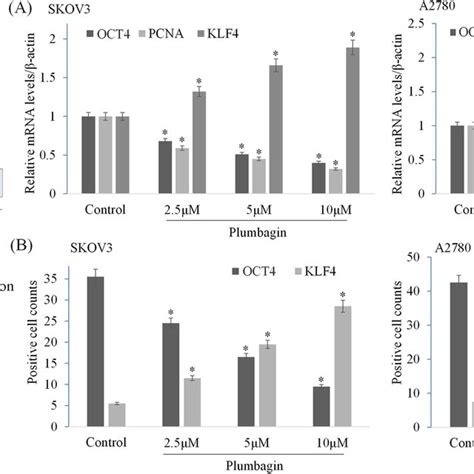 The Quantitative Pcr Data Suggested Reduced Oct4 And Pcna Mrna Download Scientific Diagram