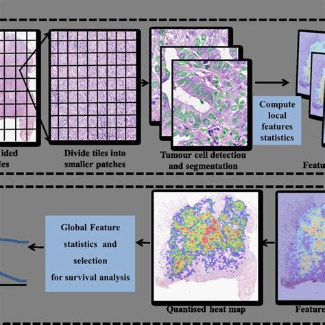 Overview Of The Proposed Wsi Tumour Nuclei Analysis Framework A