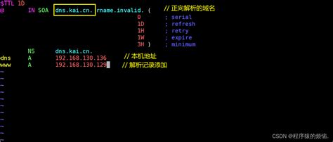 centos 8搭建dns服务详解 centos8dns配置 csdn博客