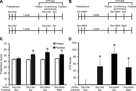 Concurrent Exposure To Methamphetamine And Sexual Behavior Enhances Subsequent Drug Reward And