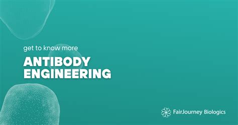 Custom Antibody Engineering Solutions