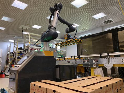High Payload Cobot Palletizer Onexia S Efficient Solution