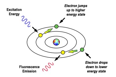 The Science Of Fluorescence Photography