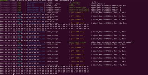 Can T Create Topic And Further Participant While Running Micro Ros Agent Issue Micro