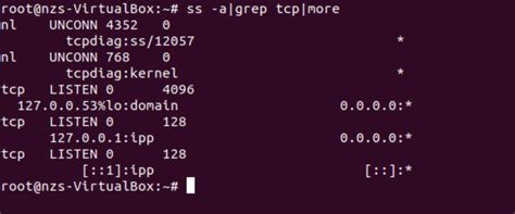 Solved Checking Ports Opened On A Unix Host With Ss This Chegg
