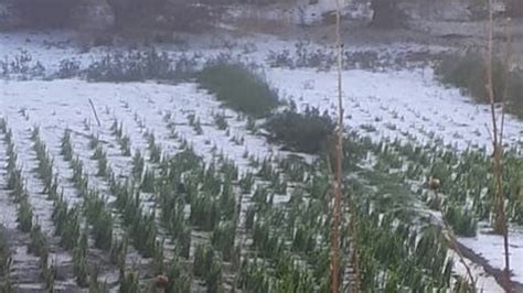 Instalan Alarmas Por Posibles Desbordes De Ríos En Guanay Las Lluvias