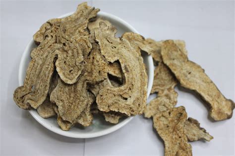 生白术的功效与作用 百度知道
