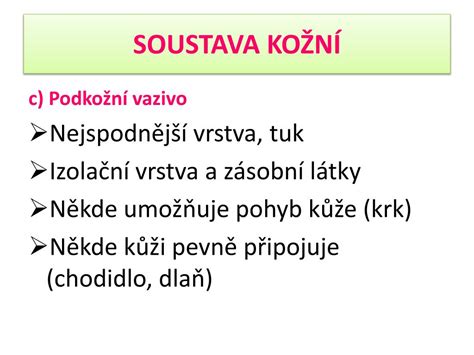 Ppt Soustava KoŽnÍ Powerpoint Presentation Free Download Id4731706