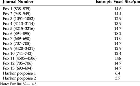 Isotropic Reconstructed Voxel Size Used In The Different Measurements