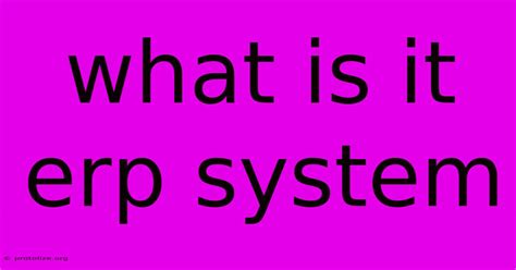 What Is It Erp System