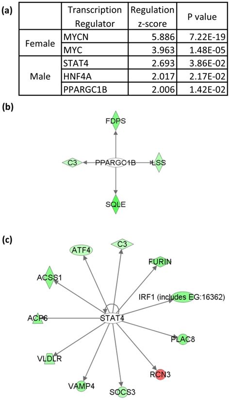 A List Of Sex Biased Transcription Factors In The Zebrafish Liver Download Scientific Diagram