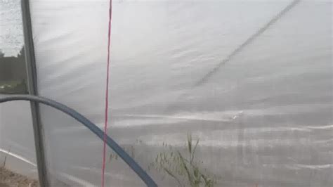 Plantpathsegmentation Instance Segmentation Dataset By Yunus