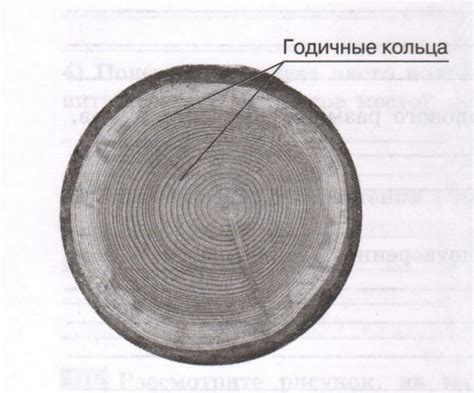 ГДЗ Биология 6 класс рабочая тетрадь Линия Жизни ВВПасечник §37