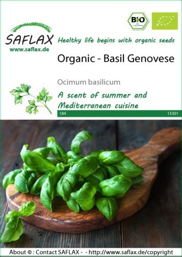 Basil Herb Genovese Organic Herb Seeds Irish Plants Direct