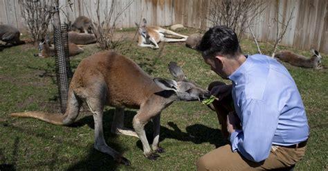 Anxiety Bedtime And Mating How Animals May React To The Eclipse The
