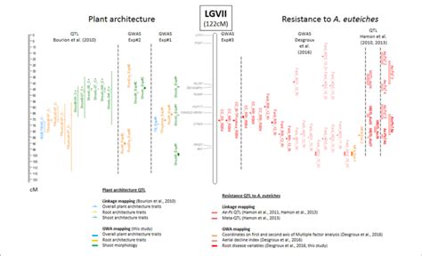 Comparative Genetic Map Of Genome Wide Association Gwa And
