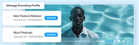 Video Encoding Transcoding For Hosting Streaming Muvi Flex