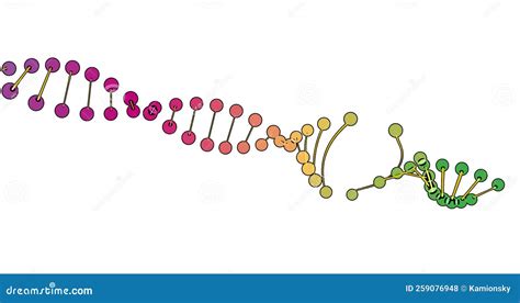 Color Visualization Of Dna Analysis Isolated On White Background 3d