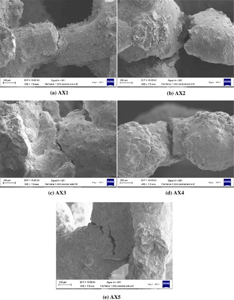 Sem Data Of The Failed Cocrmo Auxetic Bone Scaffold Highlighting Download Scientific Diagram