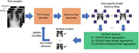 Figure 1 From Graph Node Based Interpretability Guided Sample Selection