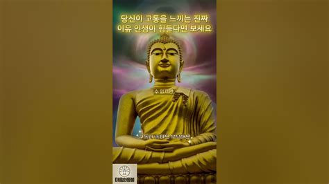 부처님 말씀 당신이 고통을 느끼는 진짜 이유 인생이 힘들다면 보세요 부처님의 가르침 집착을 내려놓는 법 Youtube
