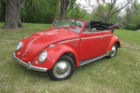 Slug Bugs And Pt Cruisers Vw Bug Volkswagen Beetle Convertible Beetle