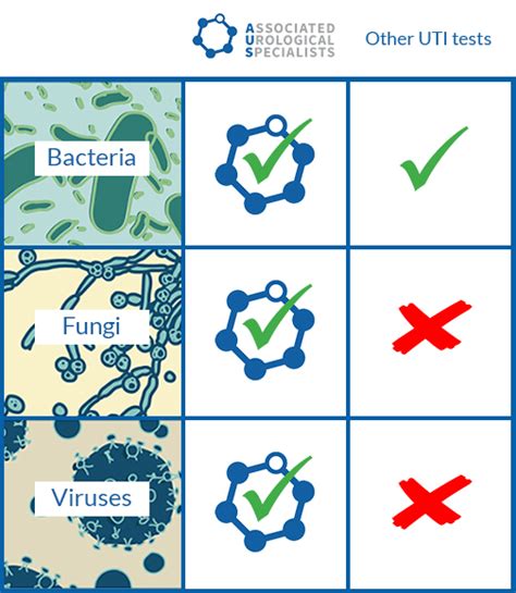 Urinary Tract Infection UTI Symptoms Top Urologists