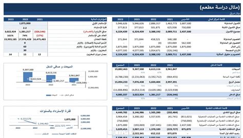 نموذج دراسة جدوى فارغة Excel