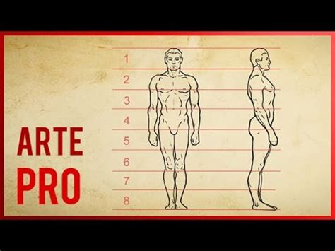 How To Draw The Human Body Proportions YouTube