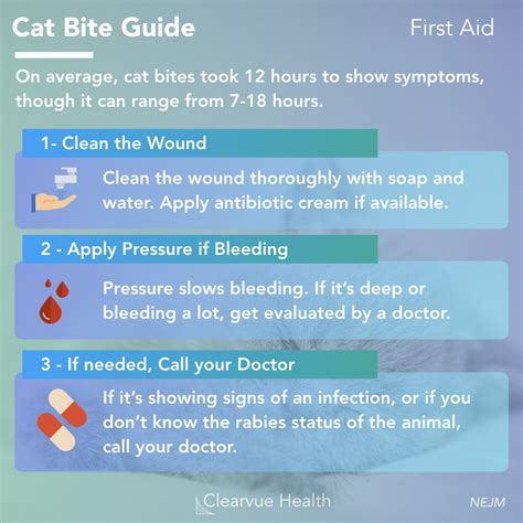 3 Charts Cat Bite Guide Symptoms And First Aid