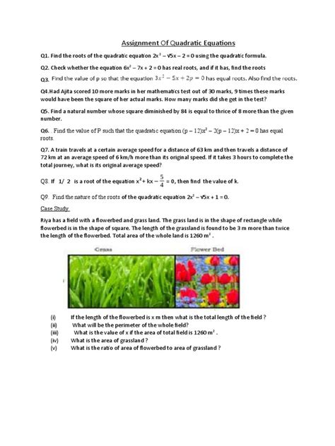 Assignment Of Quadratic Equations 1 Pdf